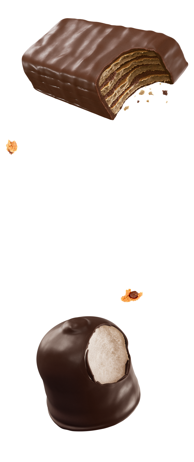 Gandour | What smiles are made of